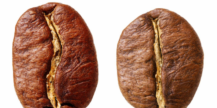 Kaffeesorten: Die beliebtesten weltweit | roastmarket Magazin