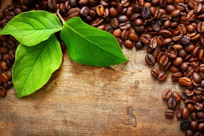Die beliebtesten Kaffeesorten weltweit | roastmarket Magazin