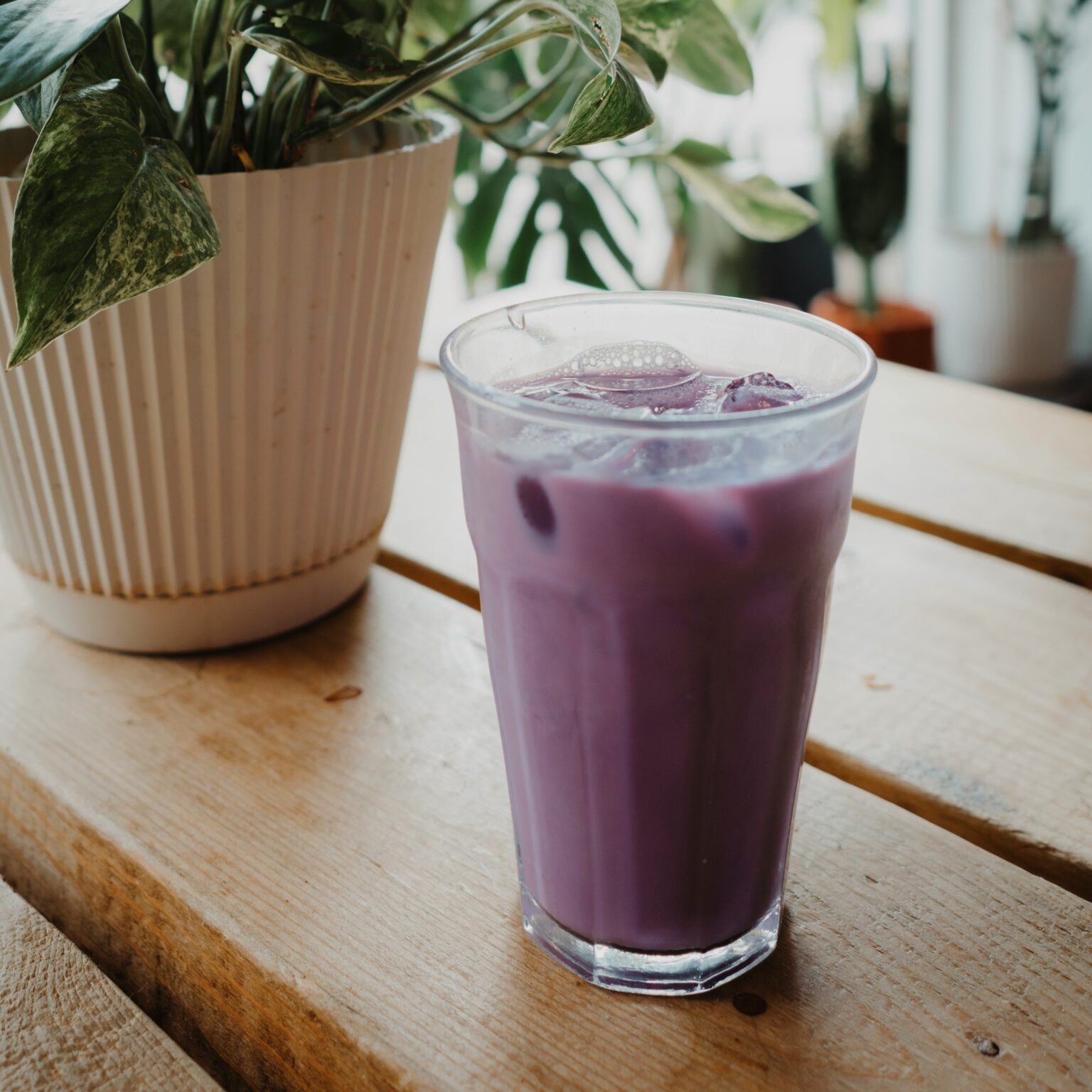 Ube Latte: Der Lila-Kaffee Trend | roastmarket Magazin